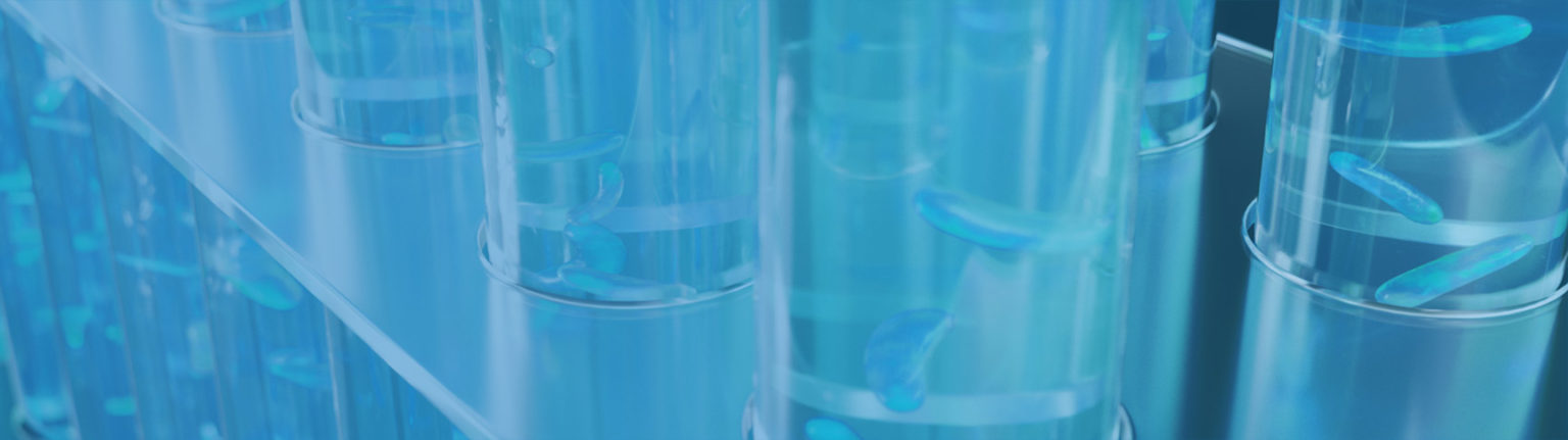 Biofuels – Blue Commodities